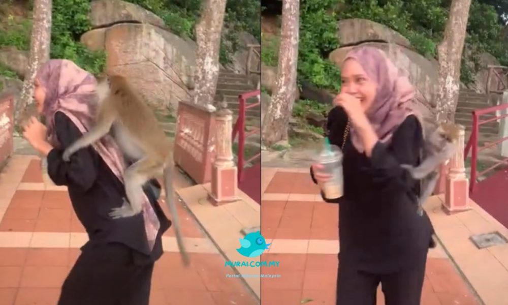 “Spesis rare akak ni kalau orang lain dah menjerit dah ni haha” – Akak ...